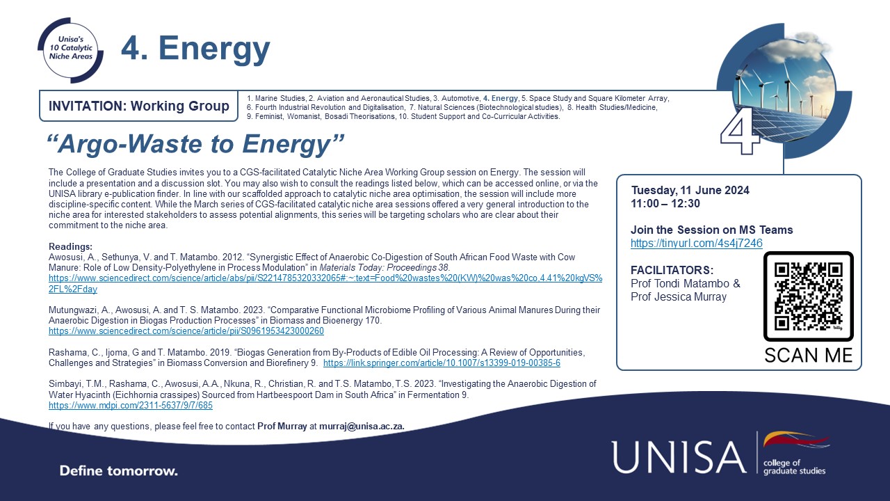 Catalytic niche area working group session: 'Argo-waste to energy'